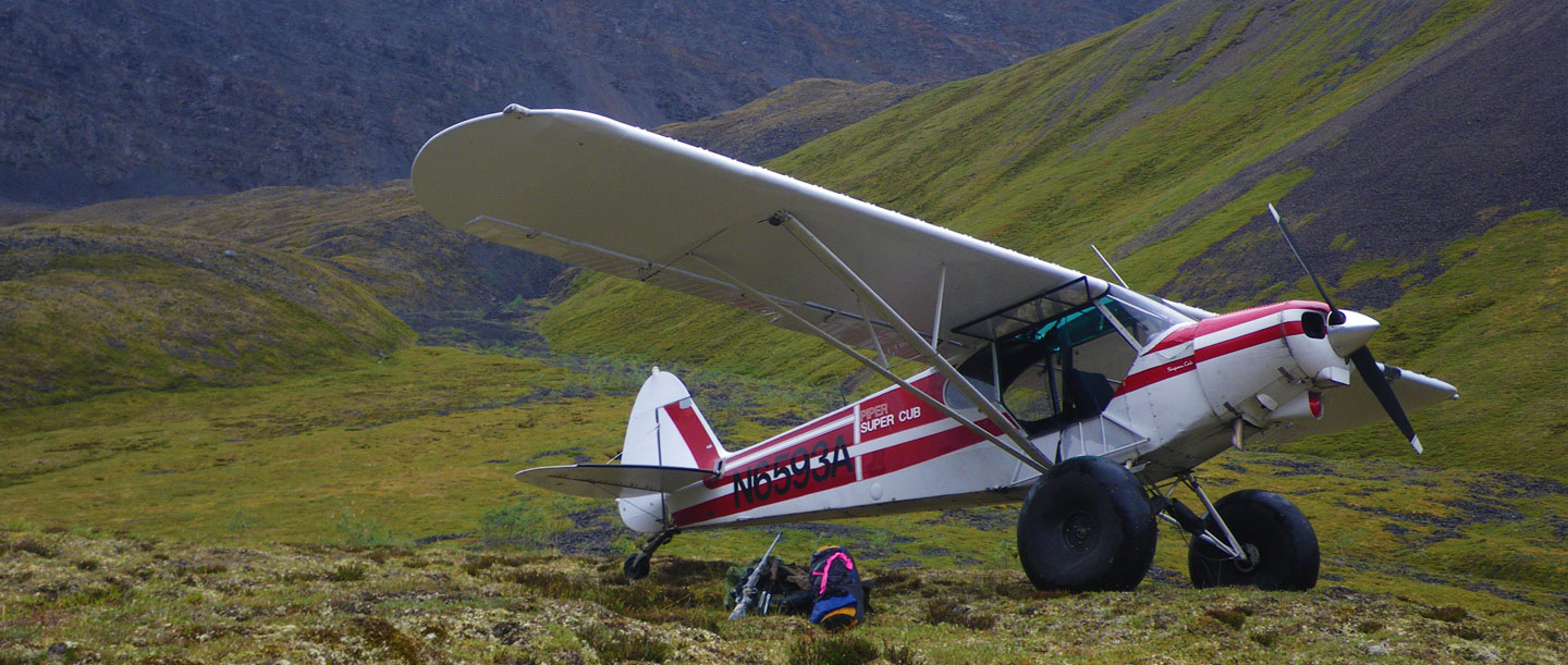 Our Alaska Air Taxi Bush Planes - Tok Air Service